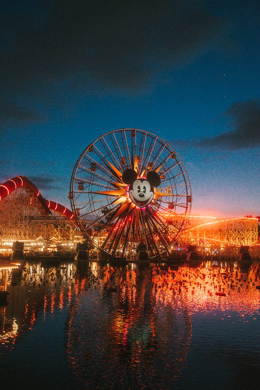 Disneyland Resort – Wander & Wish